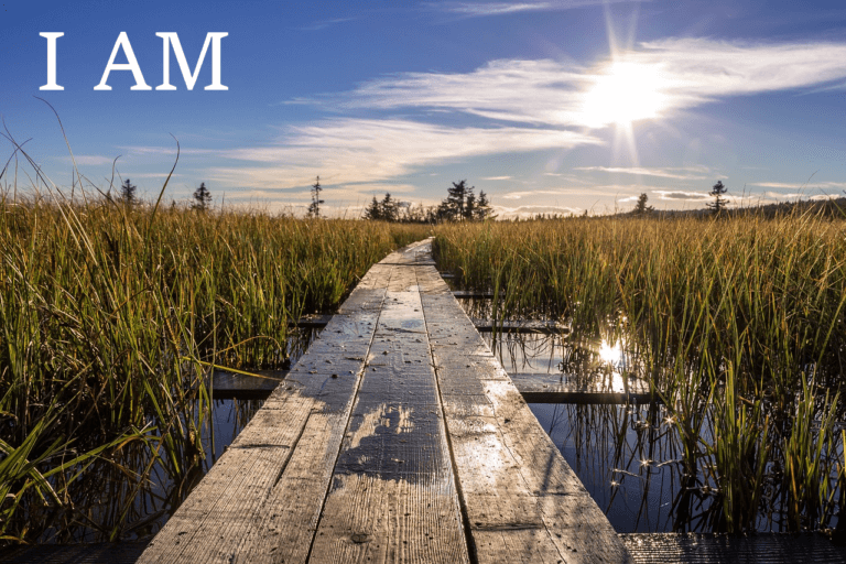 I AM - Our Savior Lutheran School 2018-2019 - Our Savior Lutheran ...